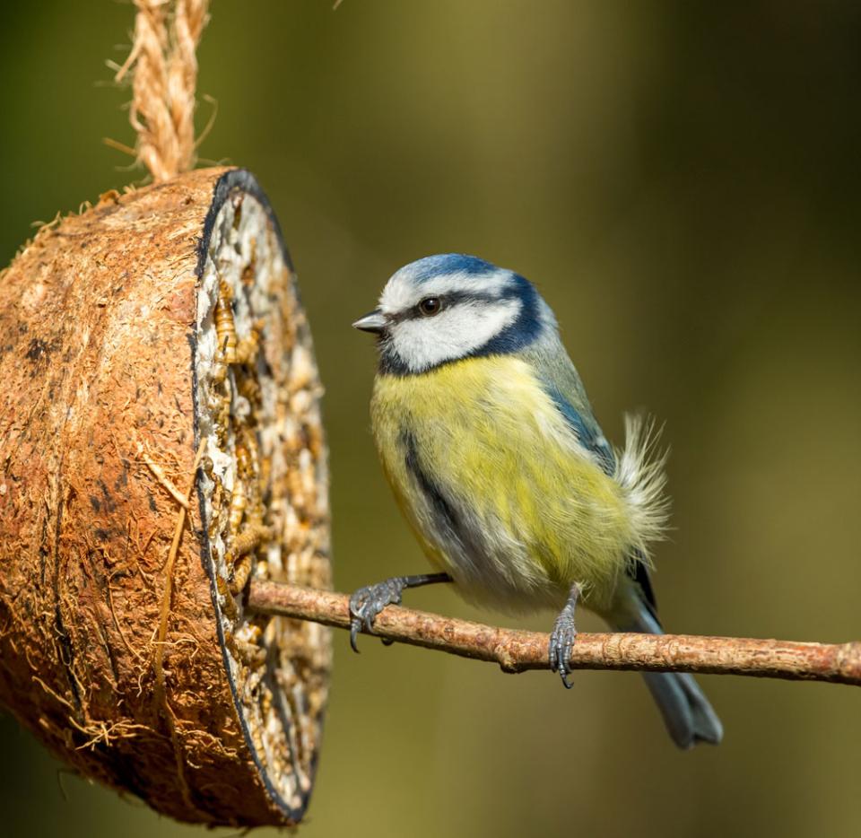 FAUSOL - Vi gør havedrømme til virkelighed!