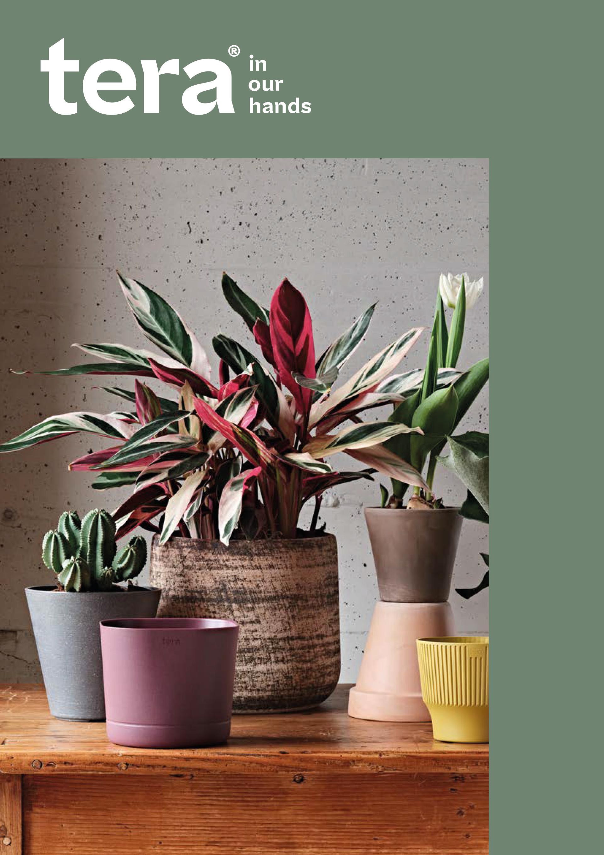 FAUSOL - Vi gør havedrømme til virkelighed!